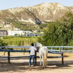 Heraklion: Finikia Horse Riding Tour with Lunch or Dinner - Authenticity and Value