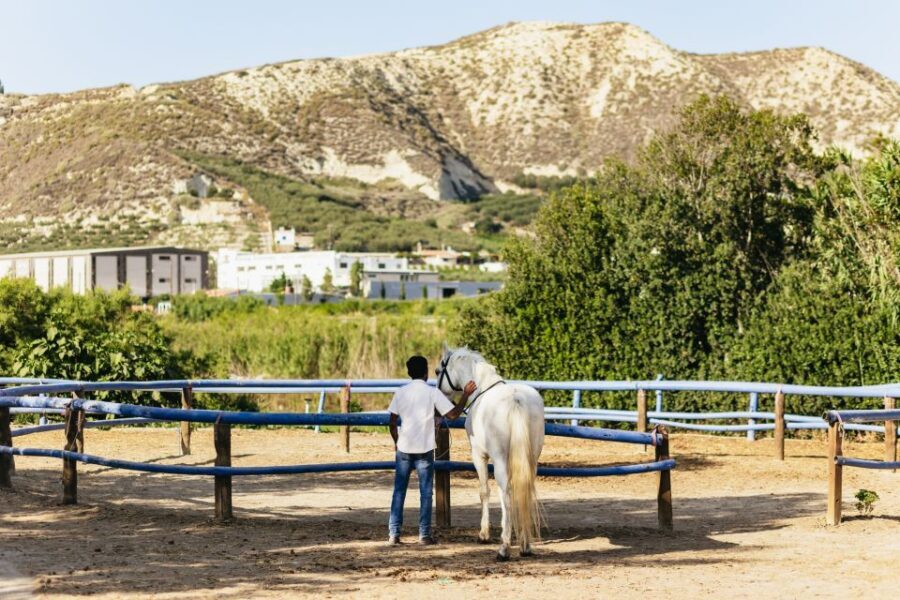 Heraklion: Finikia Horse Riding Tour with Lunch or Dinner - Authenticity and Value
