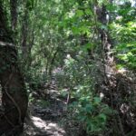 Heraklion: Full Day to Rihti Waterfalls, Mochlos, Azoria - Itinerary Breakdown: What You’ll Experience