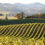 Heraklion: Half Day Semi Private Wine Tour with Tastings - Why Travelers Love This Tour