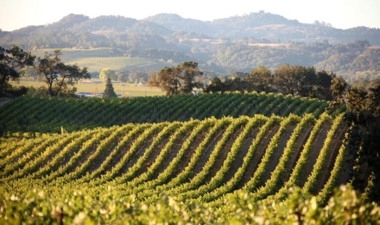 Heraklion: Half Day Semi Private Wine Tour with Tastings - Why Travelers Love This Tour