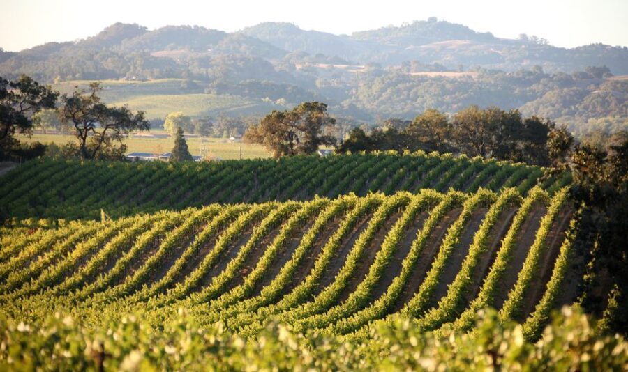 Heraklion: Half Day Semi Private Wine Tour with Tastings - Why Travelers Love This Tour