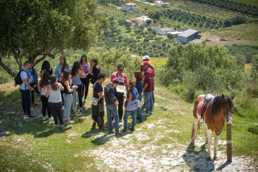 Heraklion: Horseriding Day Tour with Lunch and Transfer - Exploring the Itinerary