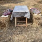 Heraklion :Olive & Dragon Farm Tour & Cretan Farmers Brunch - Why You Should Consider This Tour