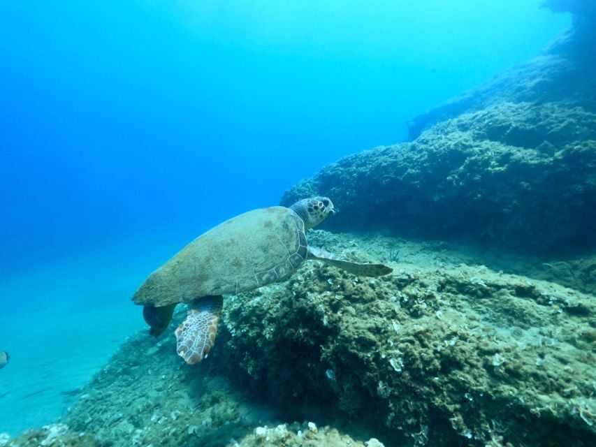Heraklion: Scuba Diving Experience for First-Timers - What Travelers are Saying