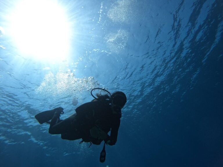 Heraklion: Try Scuba Diving For Beginners (1 dive) - From the Reviews: Authentic Insights