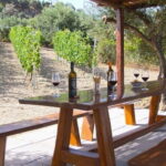 HERAKLION: Wine tasting at Douloufakis Vineyards ARISMARI - What Makes This Tour Stand Out