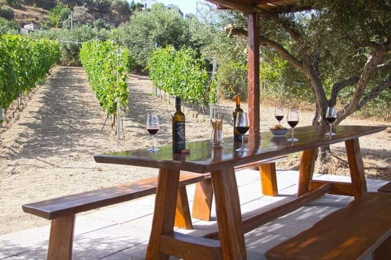 HERAKLION: Wine tasting at Douloufakis Vineyards ARISMARI - What Makes This Tour Stand Out