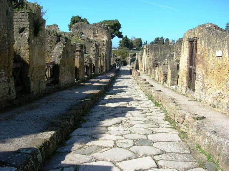 HERCULANEUM AND VESUVIUS: PRESTIGE TOUR FROM NAPLES - Value and Practicalities