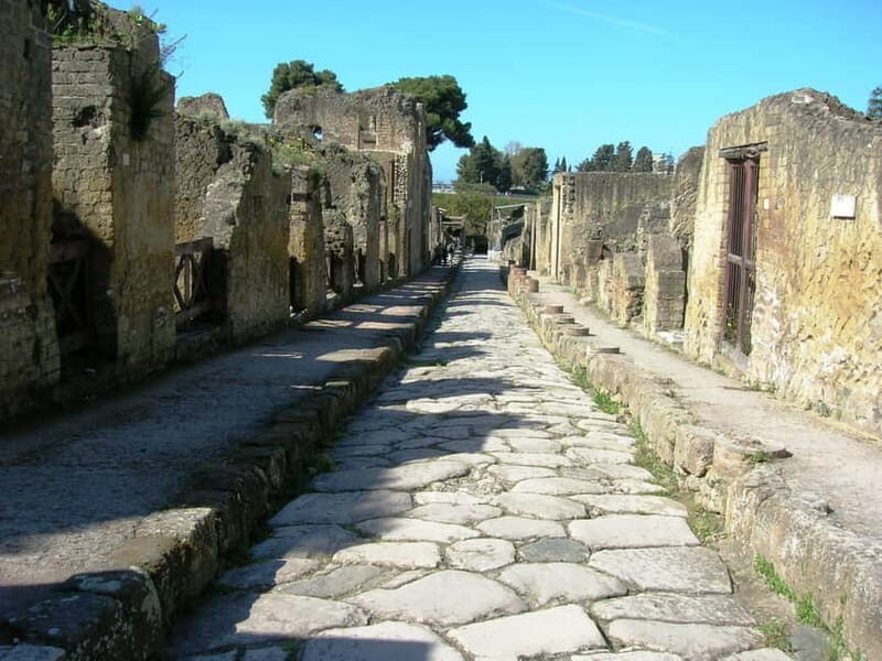 HERCULANEUM AND VESUVIUS: PRESTIGE TOUR FROM NAPLES - Value and Practicalities