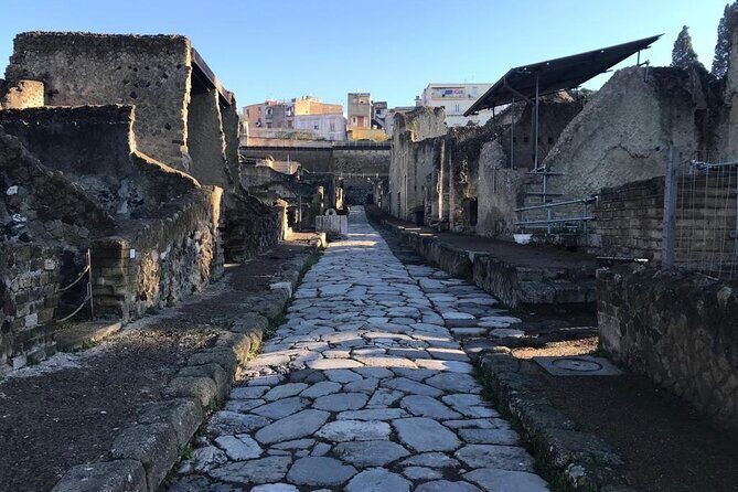Herculaneum - Private Tour (skip-the-line admission included) - Who Will Appreciate This Tour Most?