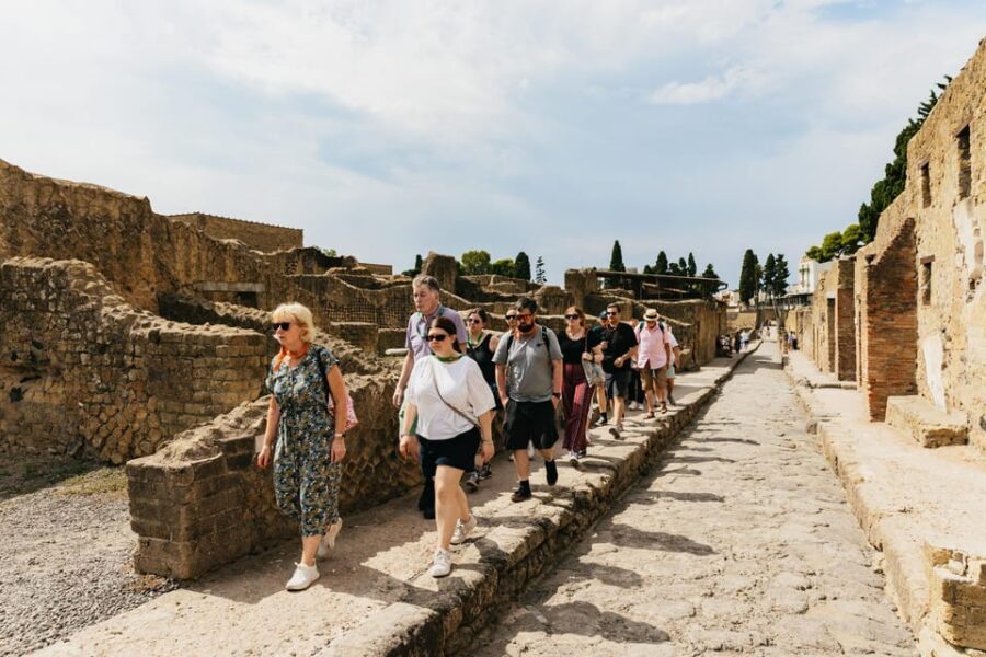 Herculaneum: Skip-the-Line Guided Tour with Archaeologist - The Bottom Line
