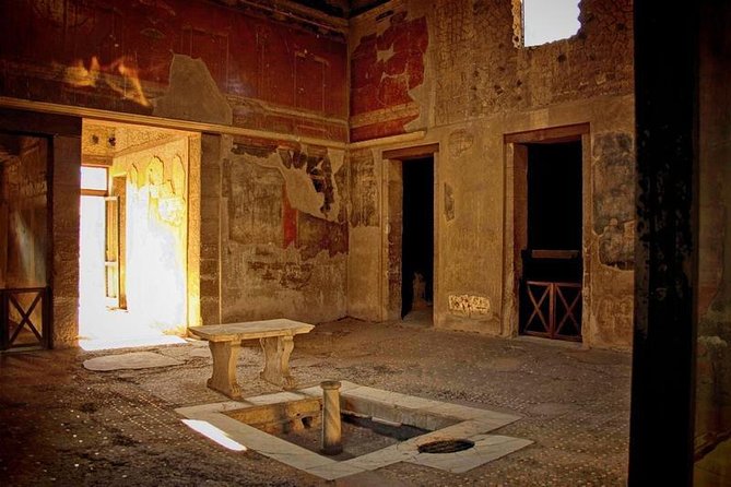 Herculaneum-Wine tour from Sorrento, with licensed guide included - Key Points