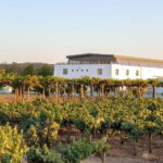 Herdade Canal Caveira - Winery Visit 4 Red's Wines & Tapas - What the Reviews Say