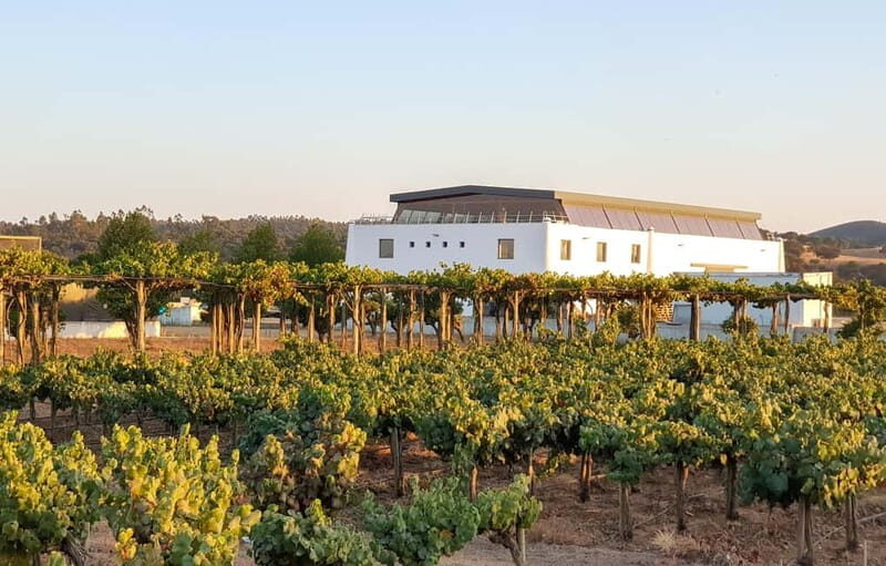 Herdade Canal Caveira - Winery Visit 4 Red's Wines & Tapas - What the Reviews Say