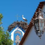 Herdade da Comporta Reserve Winetasting - What to Expect from Your Visit