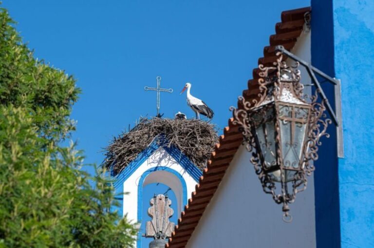 Herdade da Comporta Reserve Winetasting - What to Expect from Your Visit