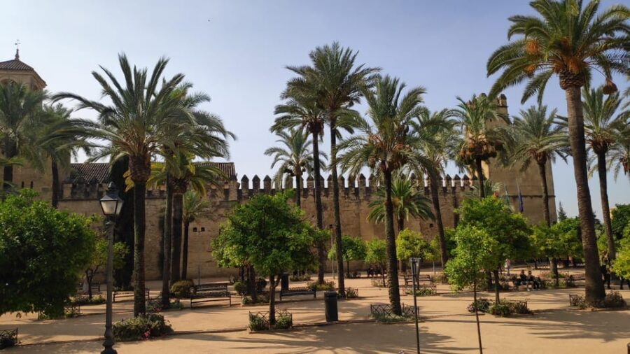 Heritage Córdoba: The most essential tour in Córdoba - Why Choose Heritage Córdoba?