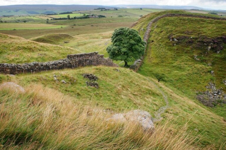 Hexham: Hadrian's Wall and The Romans Full Day Guided Tour - A Closer Look at What the Tour Offers