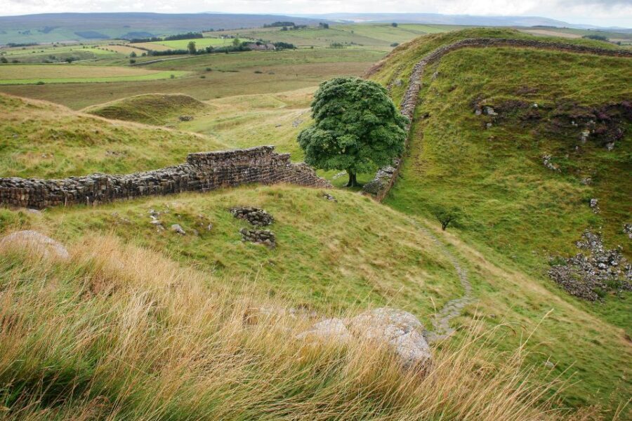 Hexham: Hadrian's Wall and The Romans Full Day Guided Tour - A Closer Look at What the Tour Offers
