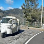 High West Van Guided Tour Madeira (from Funchal) - Who Should Consider This Tour?