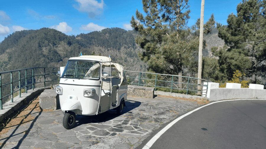 High West Van Guided Tour Madeira (from Funchal) - Who Should Consider This Tour?