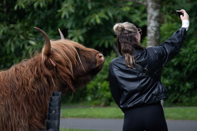 Highlands Cows Glencoe and Castles Private Tour from Edinburgh - Key Points