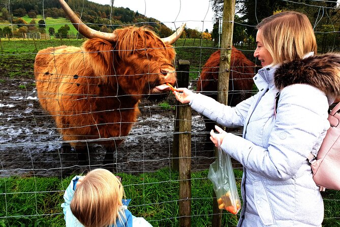 Highlands, Glencoe and Glenfinnan Viaduct Private Tour - A Deep Dive Into the Itinerary
