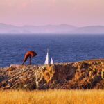 Highlights of La Coruña Shore Excursion - Only for cruisers - An Informative Look at the Itinerary