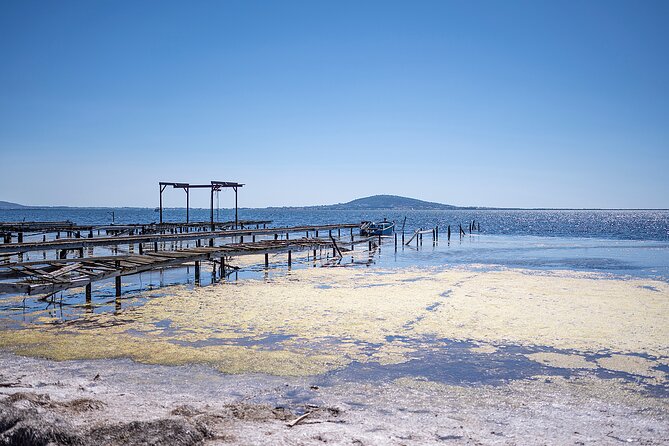 Highlights of Sète, food and wine tour - The Allure of Sète and the Surrounding Region