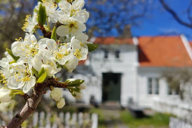 Highlights of the Region -City/Skudenes/Avaldsnes Guided Bustour - Key Points