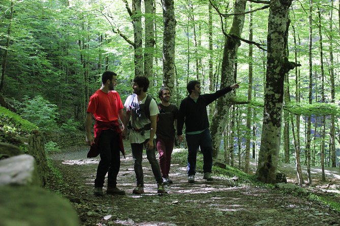 Hike from San Sebastian to San Pedro across St James Way - Who is This Tour Perfect For?