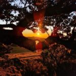 Hike in Fanal in a different way - The practical side