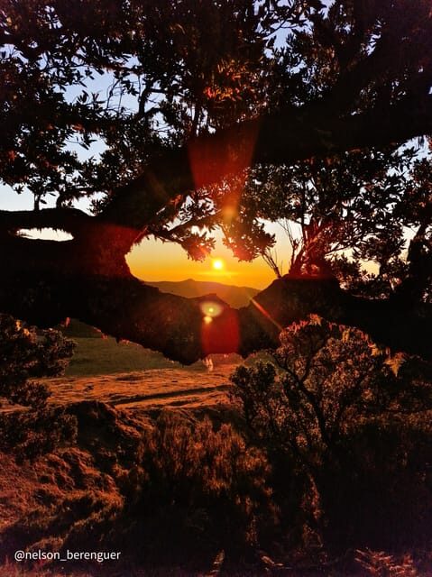 Hike in Fanal in a different way - The practical side