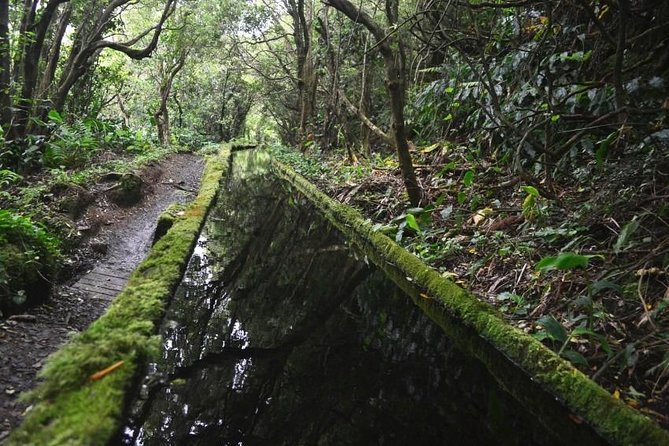Hike Lagoa do Fogo Trail - Key Points