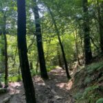 Hike Ulia | San Sebastian: El Camino de Santiago (The Way) - The Itinerary in Detail