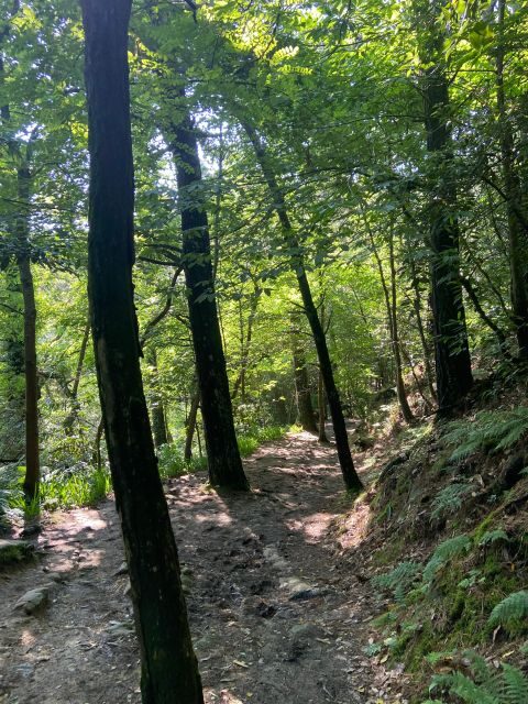 Hike Ulia | San Sebastian: El Camino de Santiago (The Way) - The Itinerary in Detail