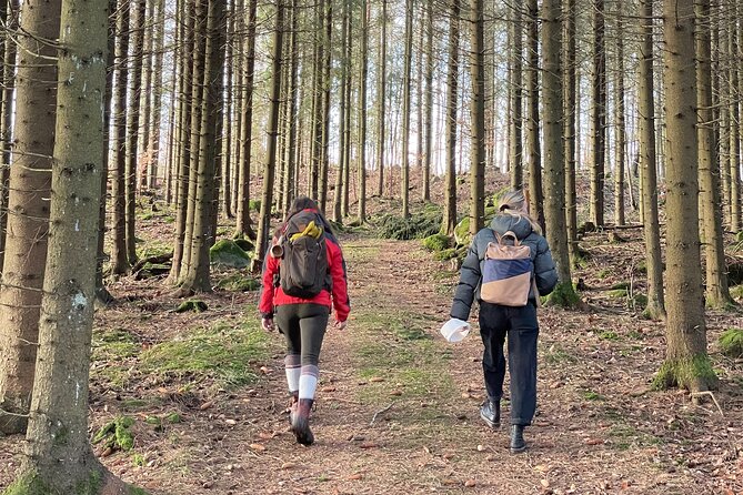 Hike with Wild Forage Surviving Tips and Local Lunch at the Lake - Hike with Wild Forage Surviving Tips and Local Lunch at the Lake—A Genuine Swedish Outdoor Experience