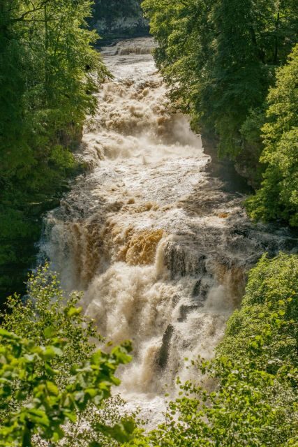 Hike World Heritage Reserve Waterfalls - Who Is This Tour Best For?