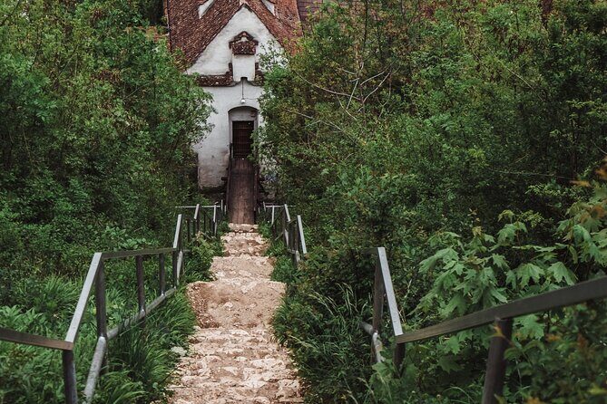 Hike&City Private tour- Cultural tour of Brasov follow by Hiking Tampa Mountain - Frequently Asked Questions