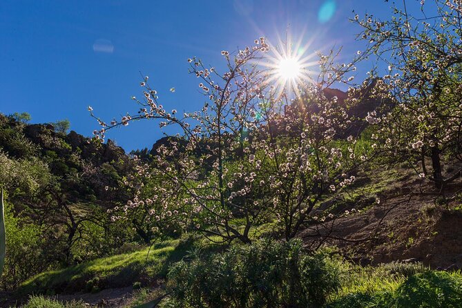 Hikes Roque Nublo - Key Points