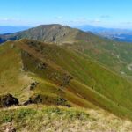 Hiking Adventure in the Central Balkan National park - What Makes This Tour Stand Out?