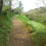 Hiking Anacapri:discover nature away from the crowds,ascent to MonteSolaro - Why Choose the Hiking Anacapri Experience?