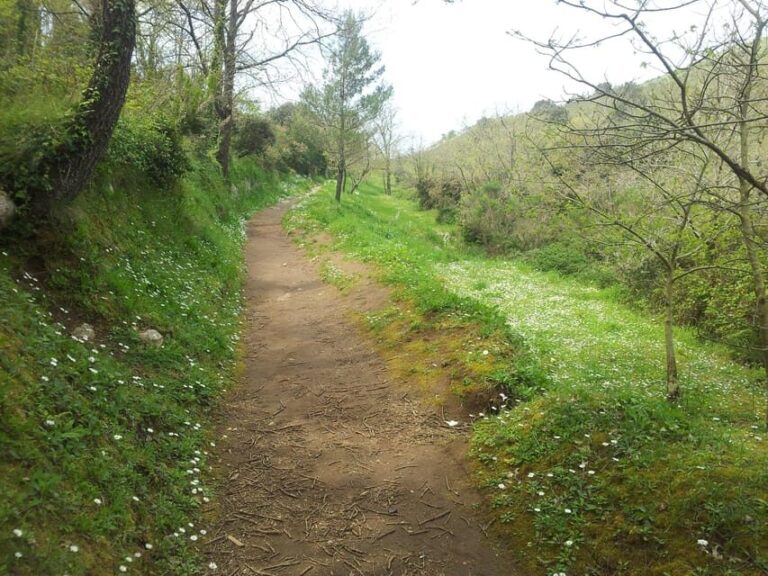 Hiking Anacapri:discover nature away from the crowds,ascent to MonteSolaro - Why Choose the Hiking Anacapri Experience?