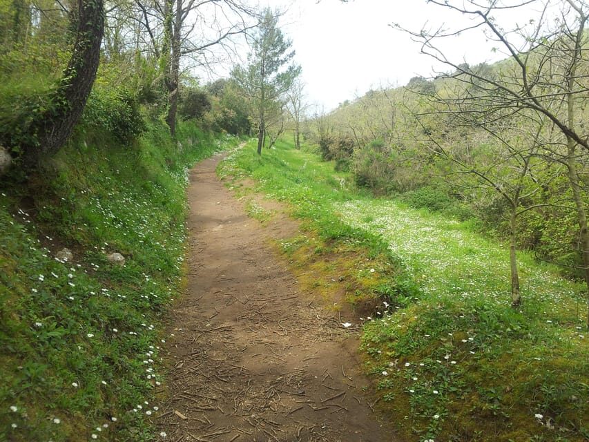 Hiking Anacapri:discover nature away from the crowds,ascent to MonteSolaro - Why Choose the Hiking Anacapri Experience?