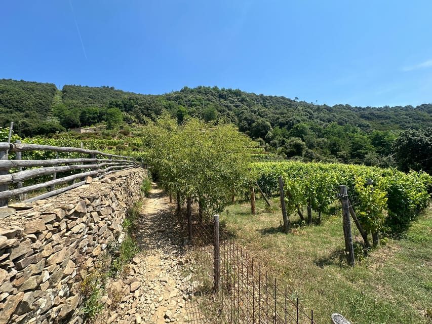 Hiking and wine tasting experience - Detailed Itinerary and Highlights