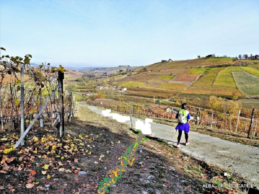 Hiking and wine tour starting from Alba - Discovering Piedmont’s Landscape and Flavors