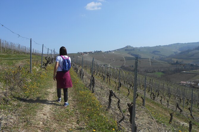 Hiking and wine tour starting from Alba - Exploring the Langhe Hills with a Hiking and Wine Tour from Alba