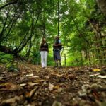 Hiking Faial da Terra + Van Tour Nordeste - Practical Details and Tips