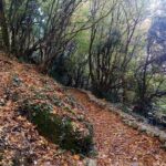 Hiking in magnificent Meteora - Final Thoughts: Who Will Love This Tour?